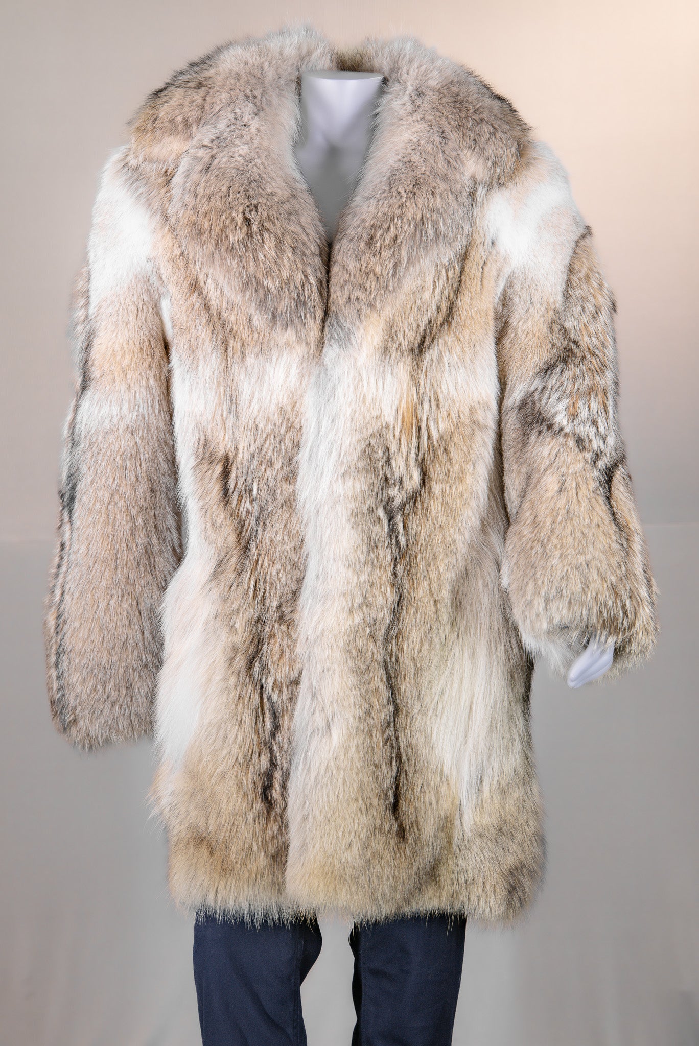 Coyote Stroller with Notch Collar – Alaska Fur Gallery, Inc.